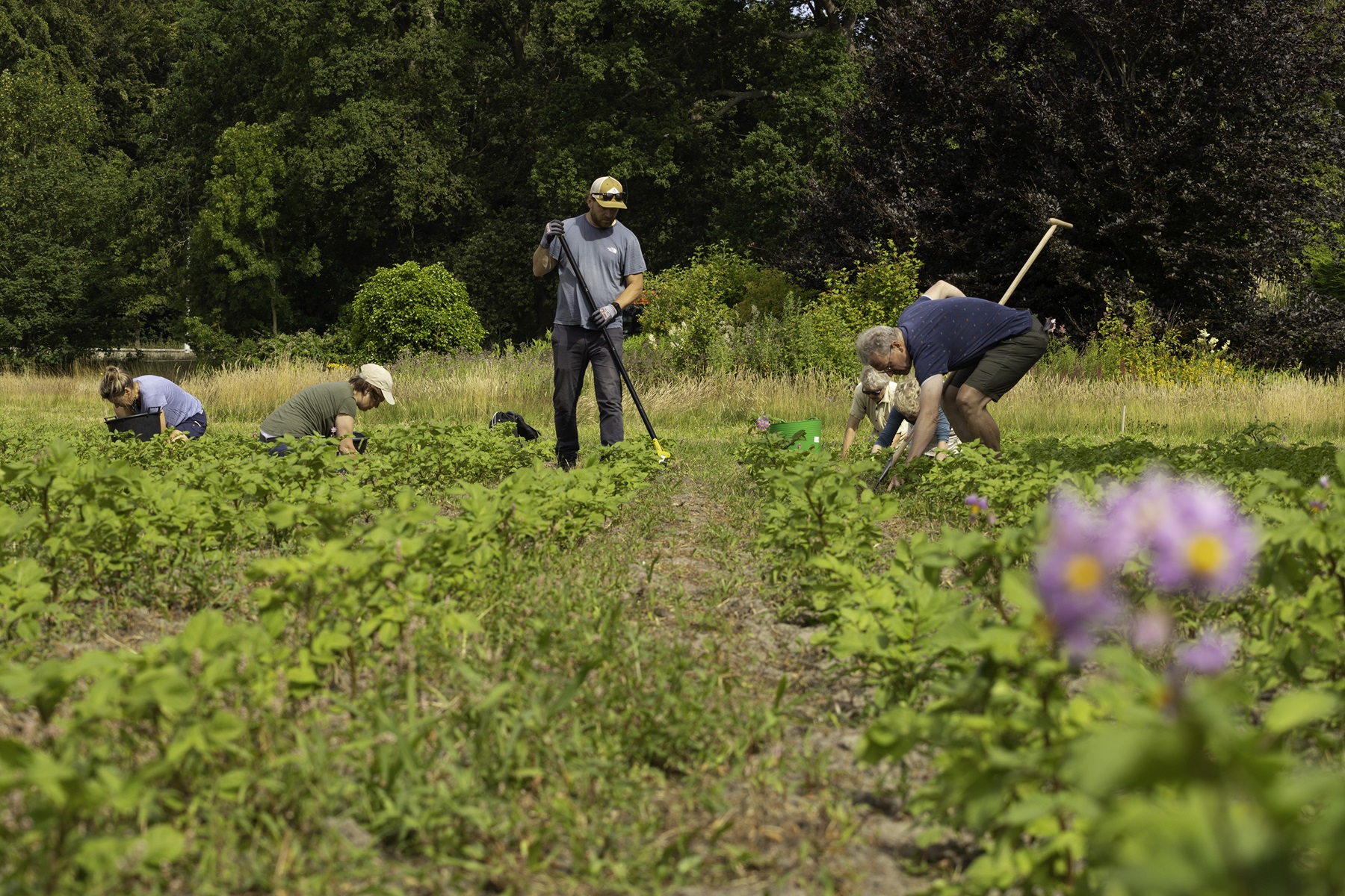 Land van Ons: Groen boeren voor biodiversiteit - Nieuw Wij