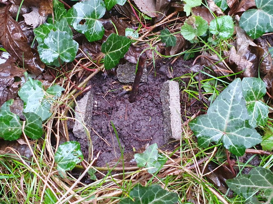 Een bijzondere begrafenis - Nieuw Wij